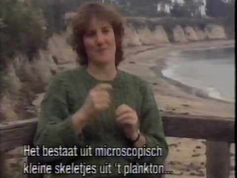 Reliëf zeebodem - YouTube