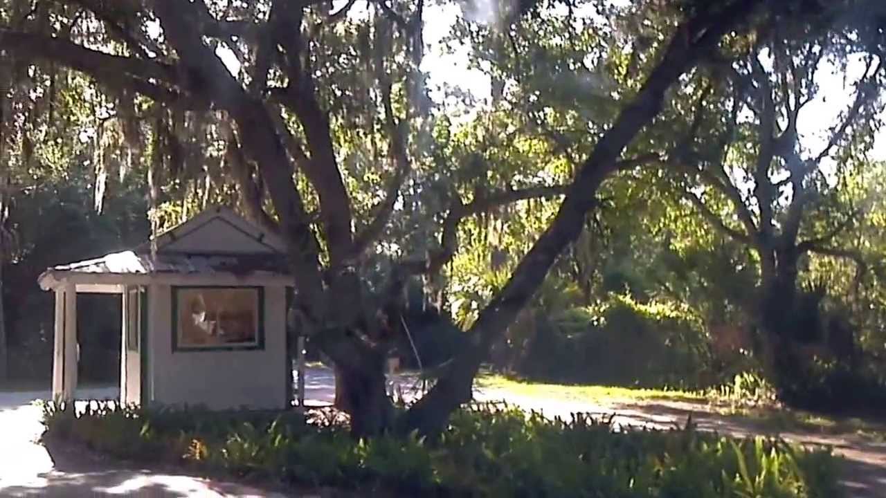 Spanish Point YouTube spanish-point-youtube