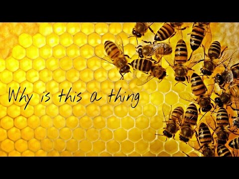 HIVES!!!!!!!- Pharo BO3 gameplay - YouTube