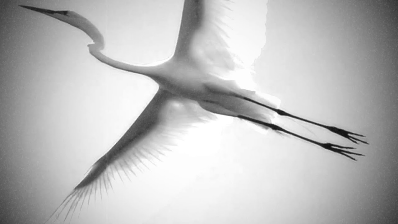 Mad World - Gary Jules ( Judit Kellner cover) Piano backing track - YouTube