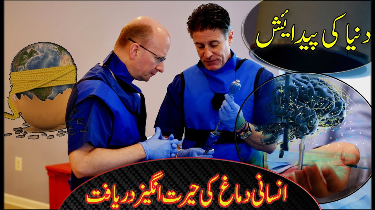 The Amazing Discovery Of The Human Brain's | Apna knowledge Studio - YouTube