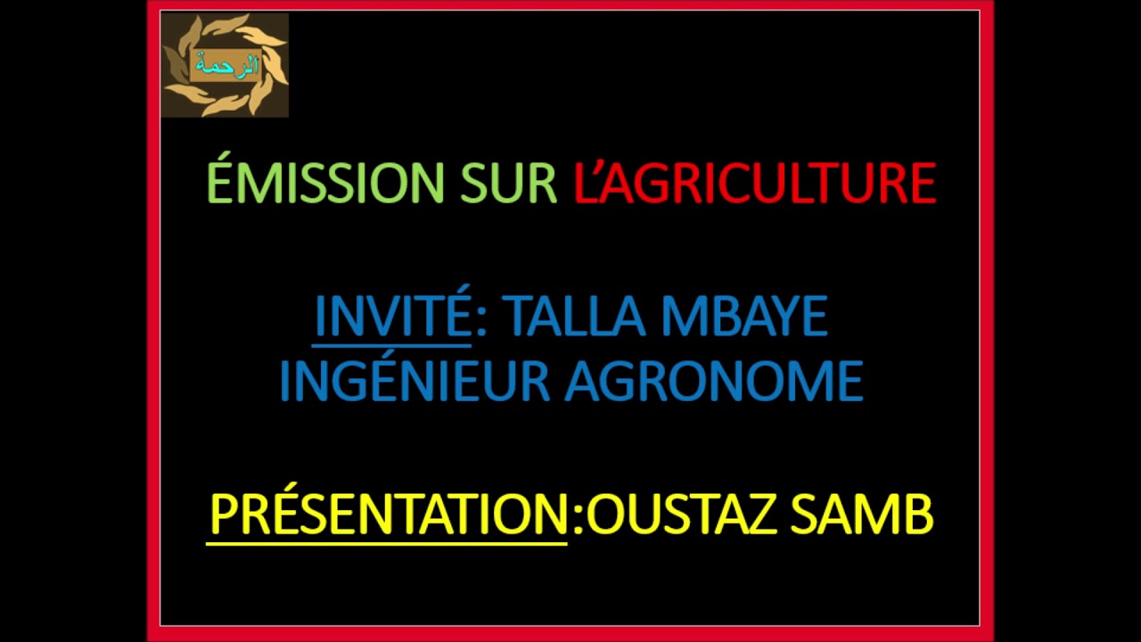Émission sur l'agriculture/Invité:Talla Mbaye ingénieur agronome ...
