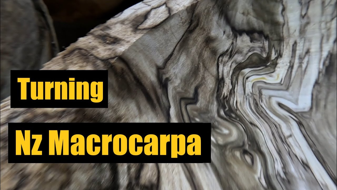 Preparing to dry: Nz Macrocarpa (Spalted) - YouTube
