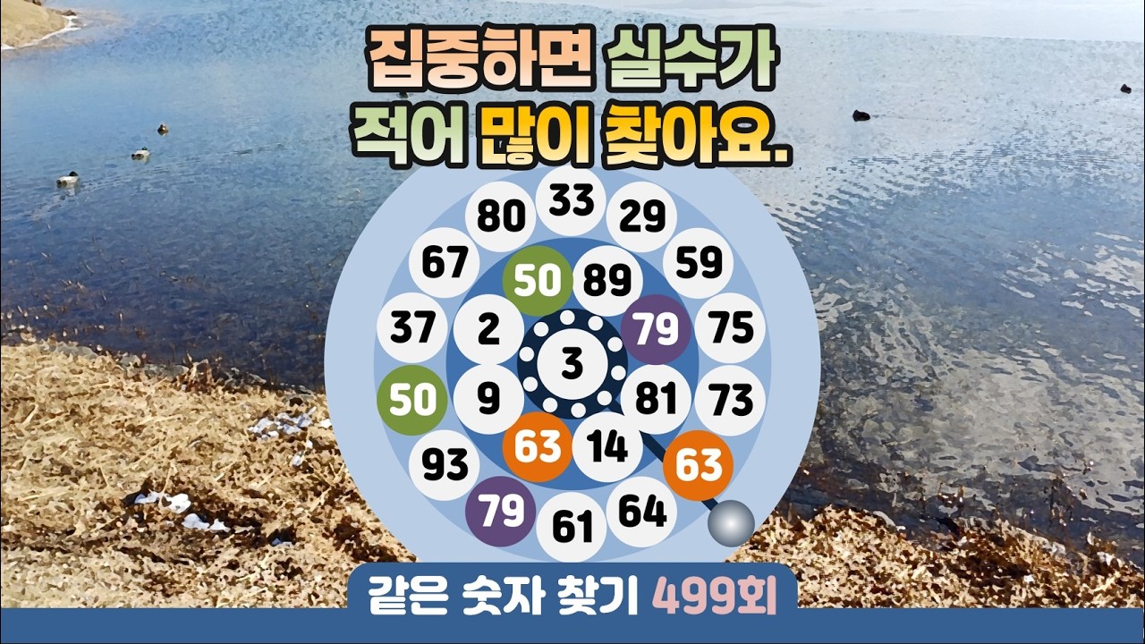 같은숫자찾기 499회 집중하면 실수가 적어 많이 찾아요 같은숫자찾기 퀴즈 치매예방퀴즈 두뇌활성화 퍼즐