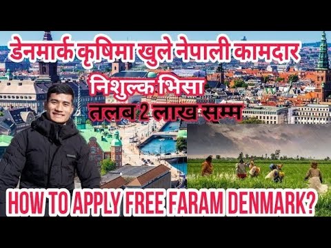 How To Apply Denmark Free visa// Free ticket Apply in Nepal// Nepali to ...