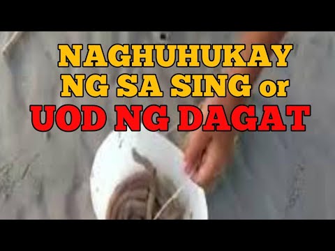 NAGHUHUKAY NG SA SING OR UOD NG DAGAT #OFW#cezarofficialvlog - YouTube