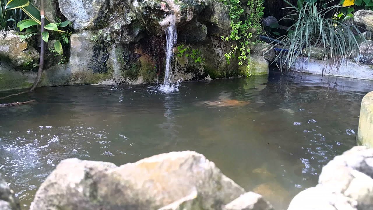 SAMSUNG GALAXY NOTE 4 (SM-N910C) SHORT 4K TEST - YouTube