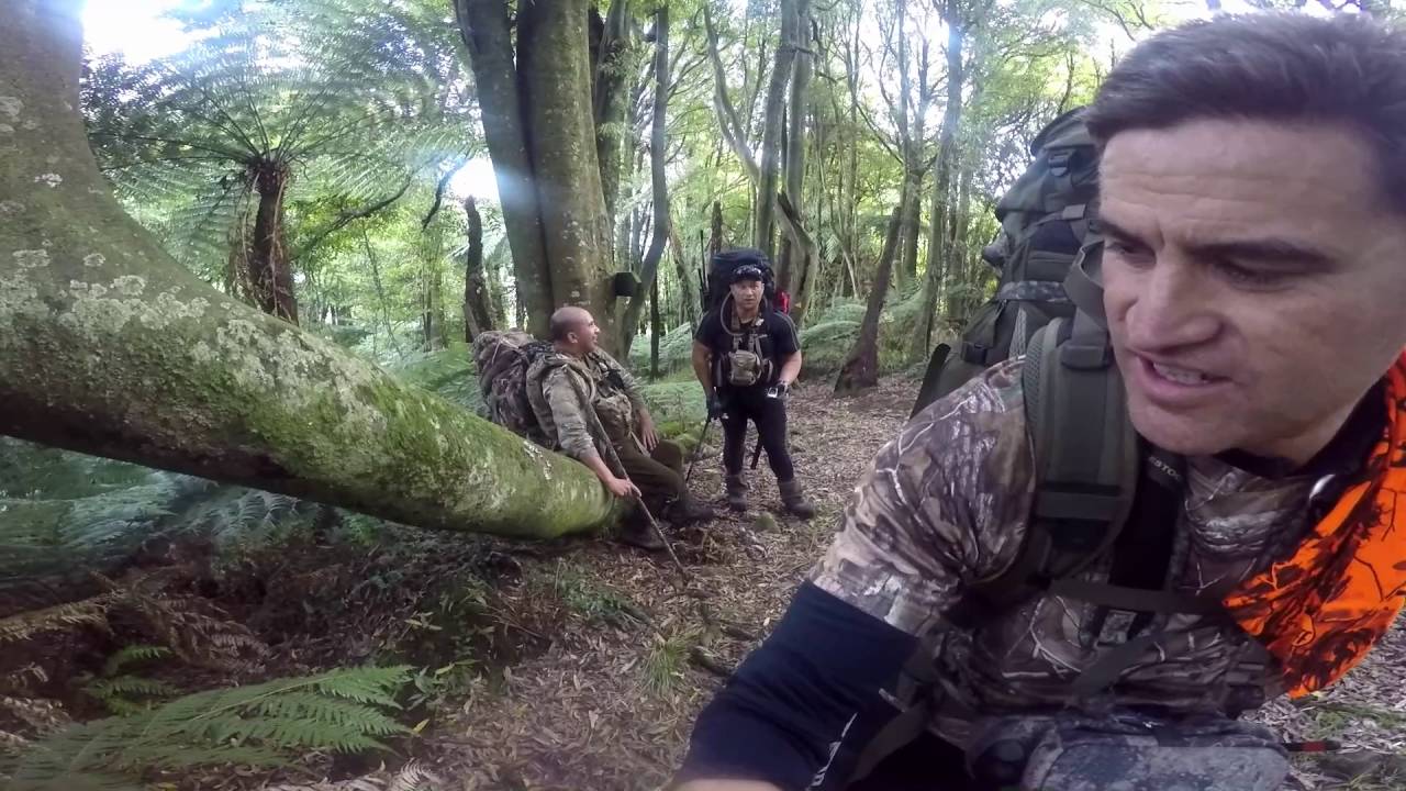 hunting ruahine range - YouTube