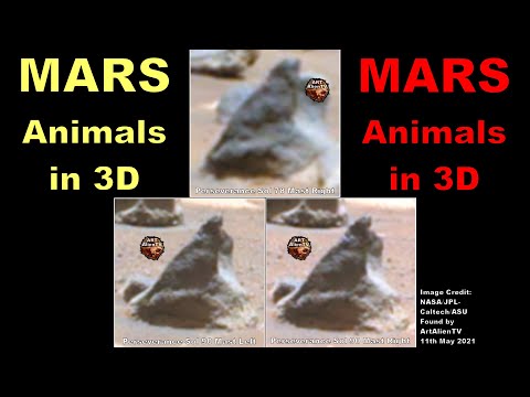 MARS Latest Images - Carved Animals in 3D - ArtAlienTV - YouTube