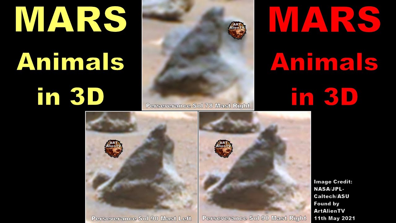 MARS Animals in 3D - Alien Sculptures. ArtAlienTV - YouTube