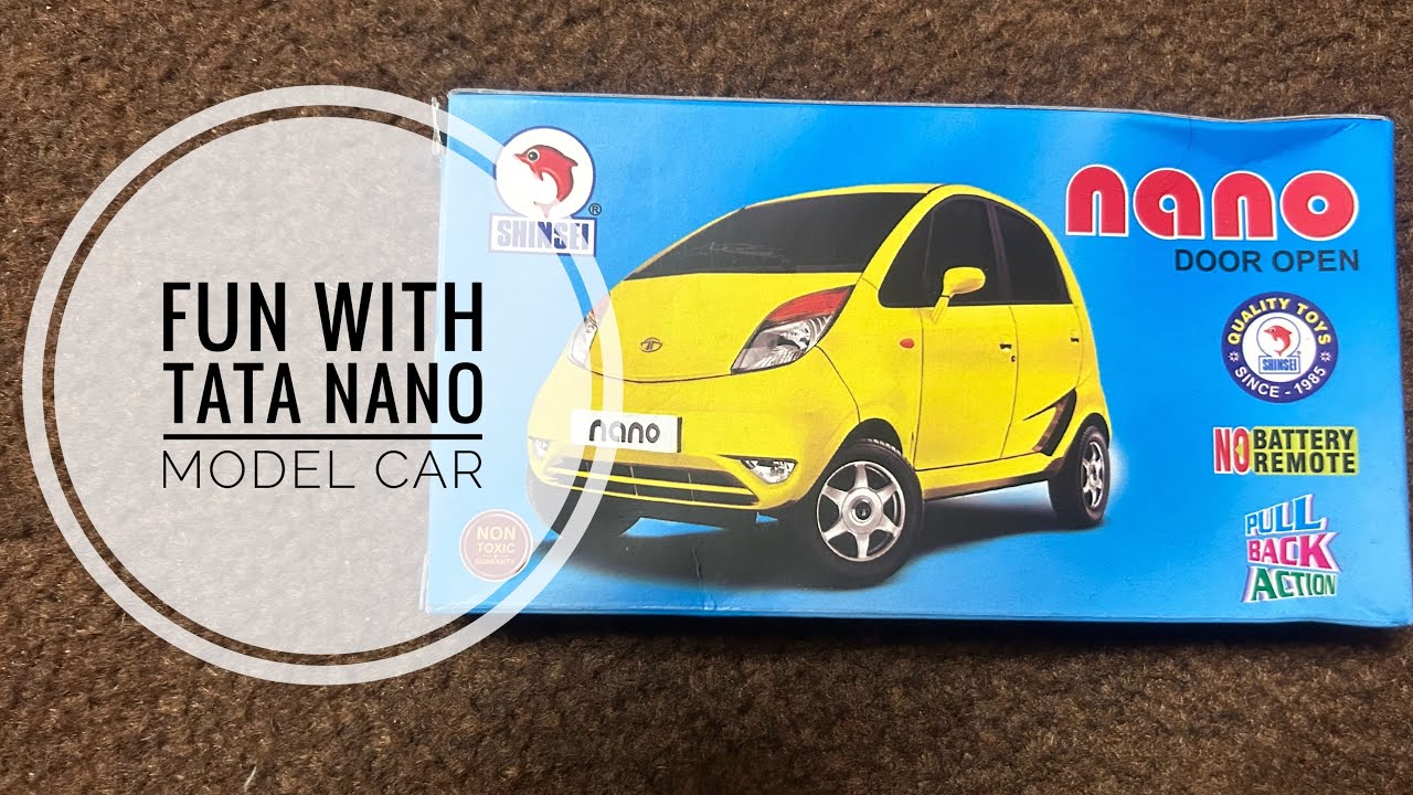Fun with Tata Nano Model Car #vlog #familyvlog #nepalivlog #tatanano ...
