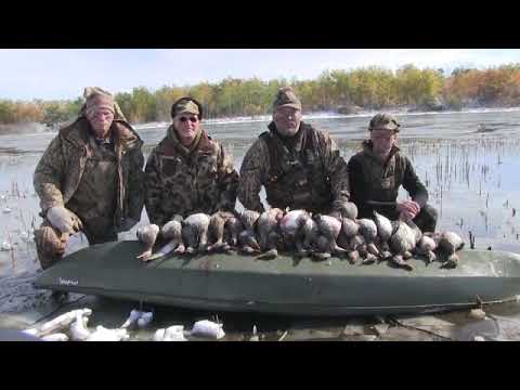Duck Hunting Canada, Manitoba Puddle Duck Smash - YouTube
