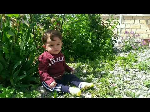 Elcan Ay Zalim 2020