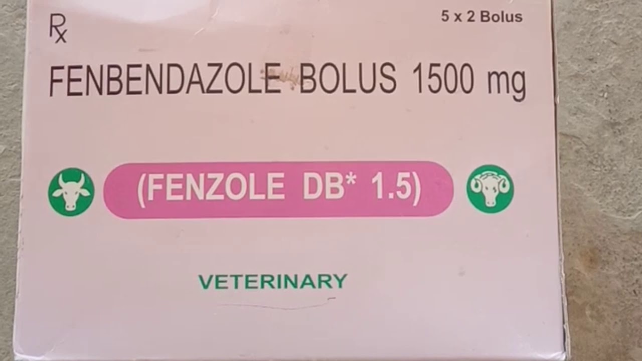 Fenzole bolus 1500 mg full details year 2020 - YouTube