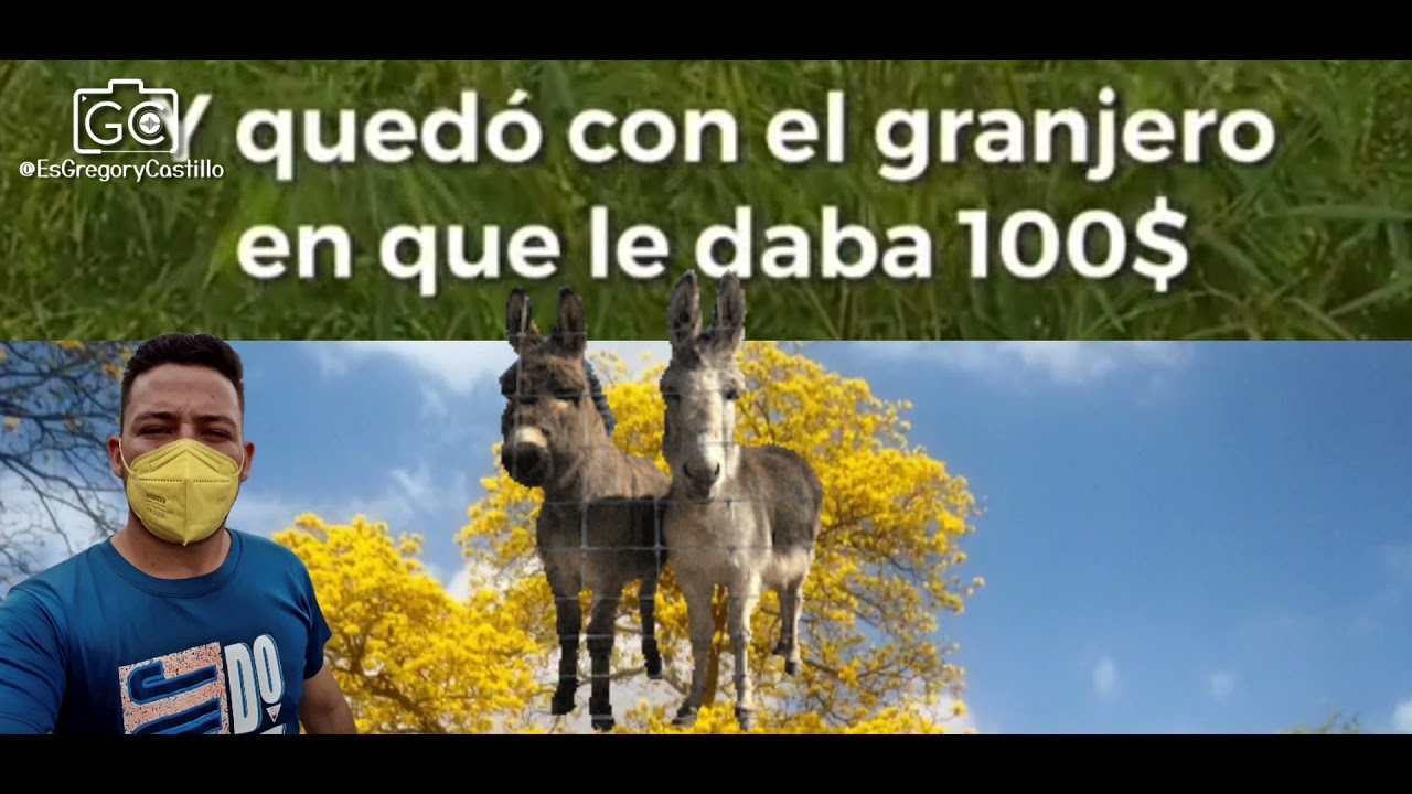La moraleja del burro Muerto - YouTube