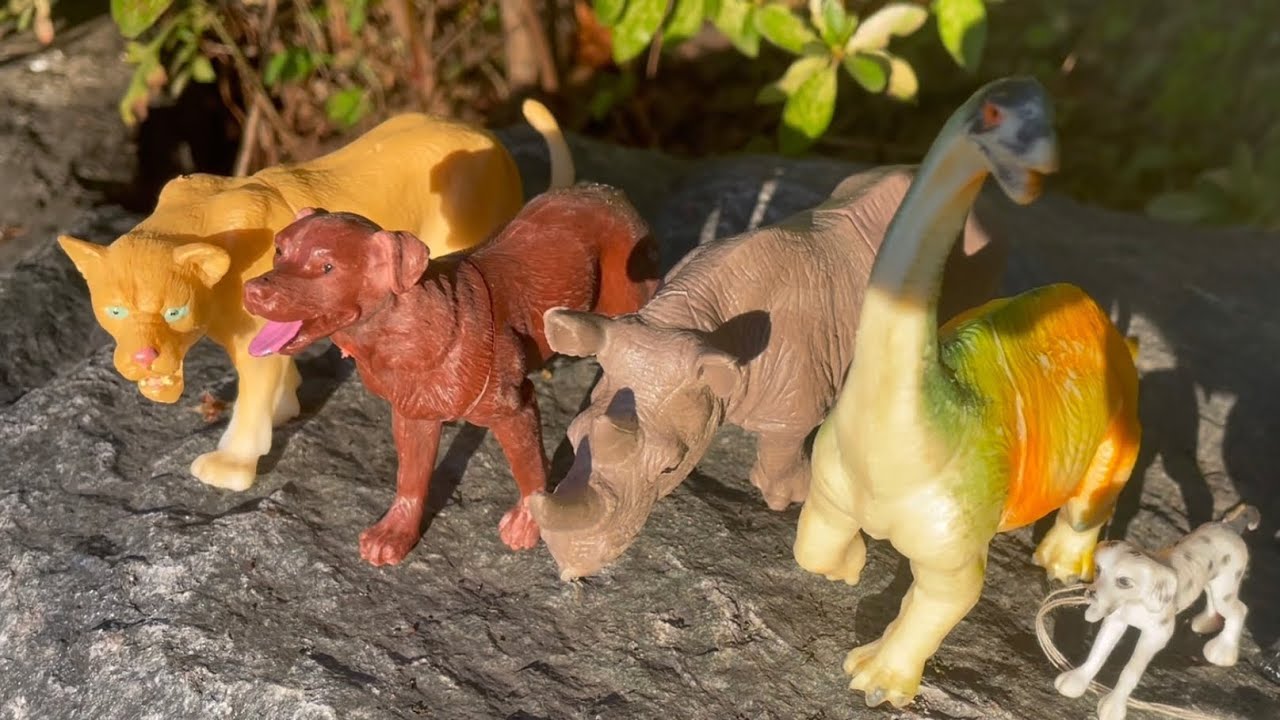Learn names of animals/plastic animals toys/ collect plastic animals ...