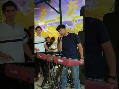 Собирчон хомидов туёнаи нав 2025