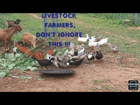 How to start a farm from scratch. (A beginner's guide to growing ...