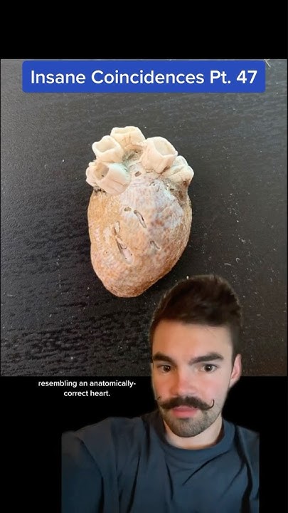 WHAT happened to the guy who discovered Ötzi the Iceman?! #artifacts ...