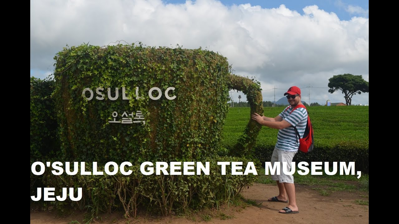 O'sulloc Green Tea Museum, Jeju - YouTube