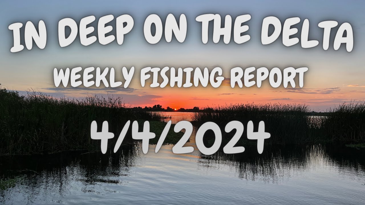 The In Deep On The Delta Fishing Report For 4/4/2024. - YouTube