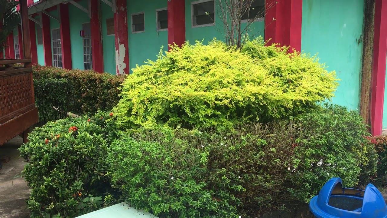 #Viral!!! TUTORIAL TIDAK NGAPA-NGAPAIN, KOCAK ABIS. - YouTube