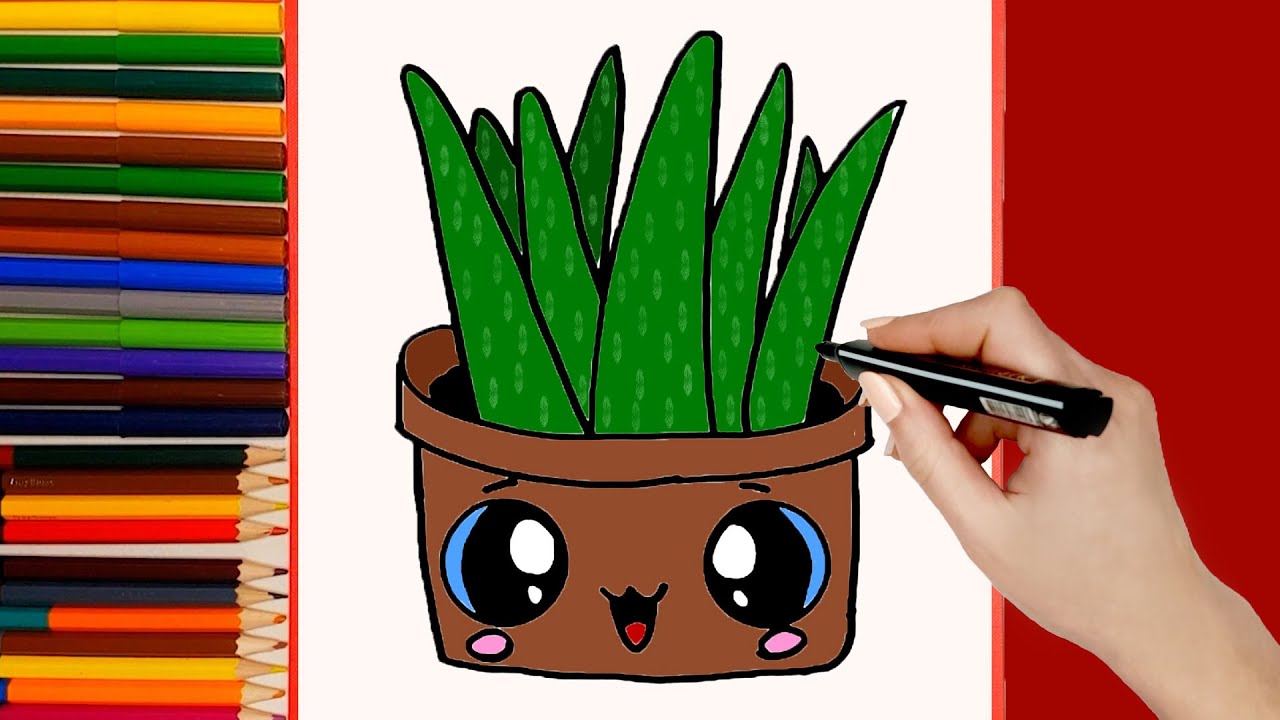 Cómo dibujar Aloe Vera. Dibujos kawaii faciles paso a paso #3 - YouTube