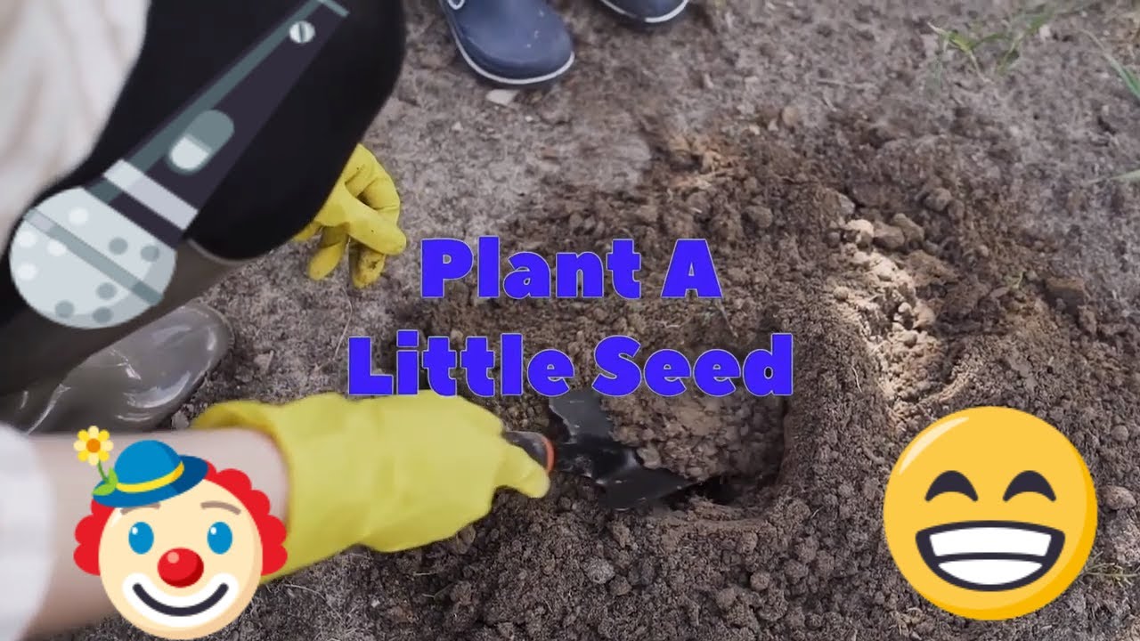 Plant A Little Seed Karaoke: Nursery Rhymes with Lyrics - YouTube