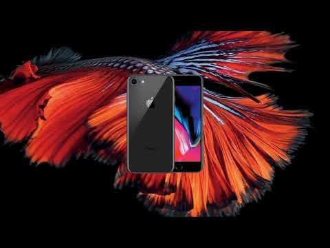 iPhone 8 - Ringtone