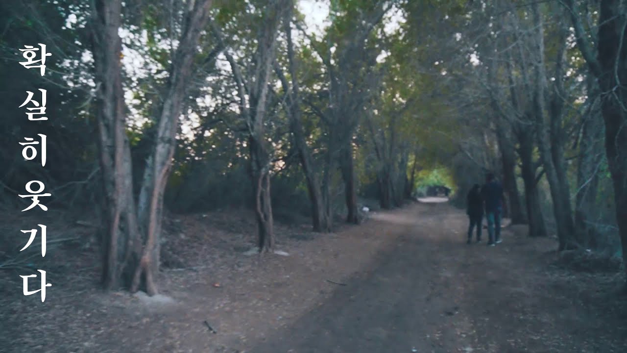 Karzakan or Korea? | Bahrain Forest and Beach | SHORTCLIP | SonyA6400 ...
