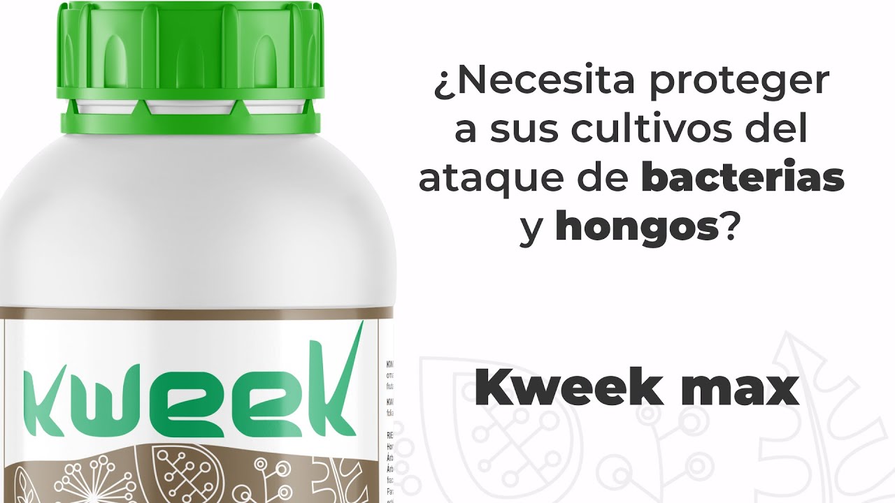Protege a sus cultivos del ataque de bacterias y hongos · Kweek max - YouTube