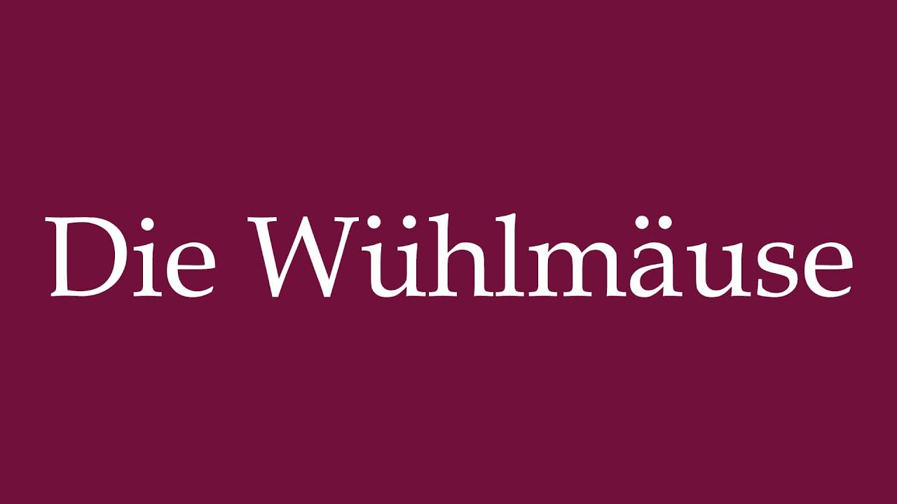 How to Pronounce ''Die Wühlmäuse'' (The Voles) Correctly in German ...