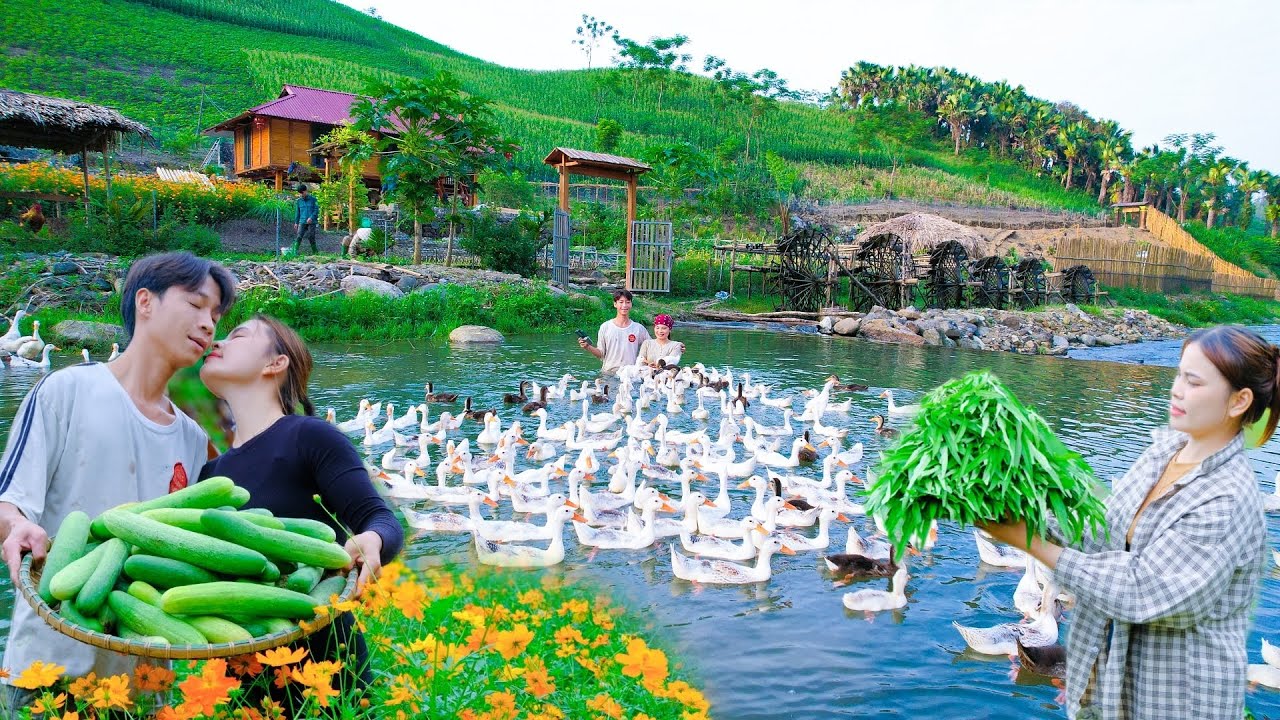 Building a Peaceful Family Farm Life Planting, Harvesting, & Animal ...