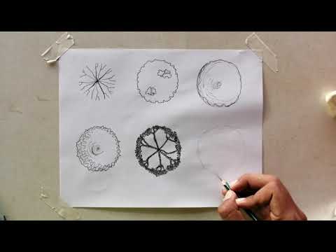 Como dibujar arboles en planta