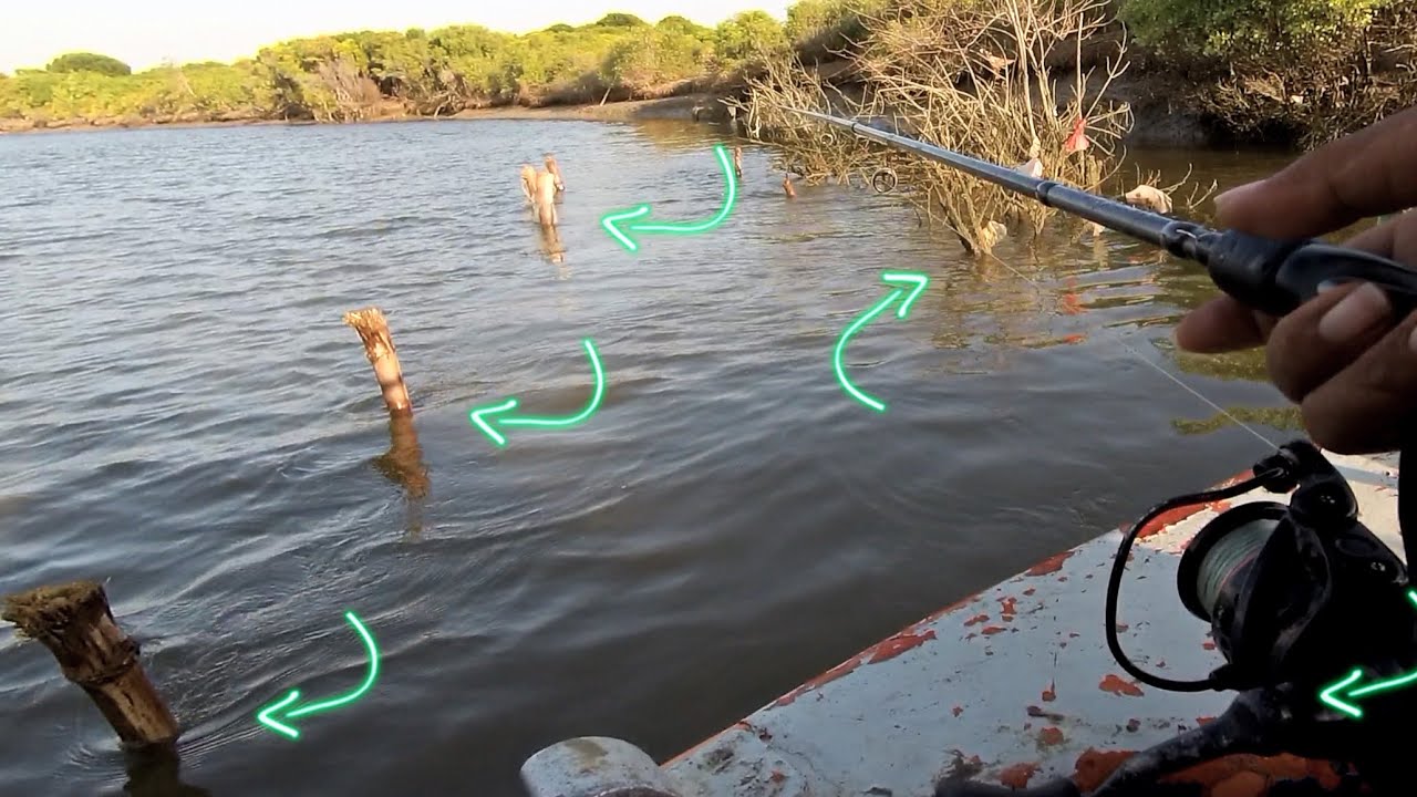 Spot Patok Kayu di Muara Barramundi nya Gak Pernah Bohong - YouTube