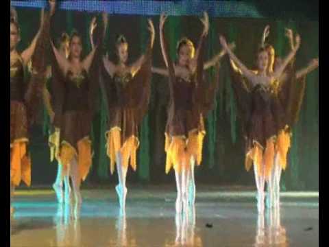 TARZAN - MARIPOSAS