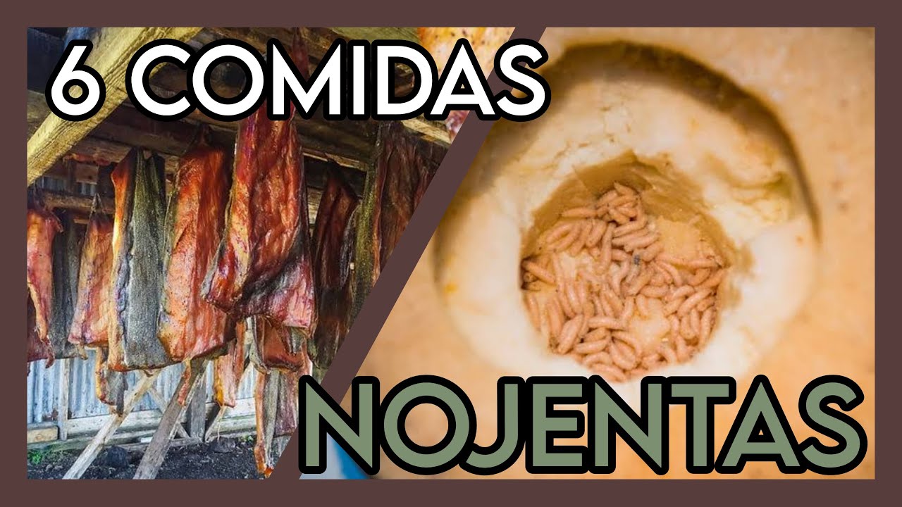 As 6 COMIDAS mais BIZARRAS do MUNDO - YouTube