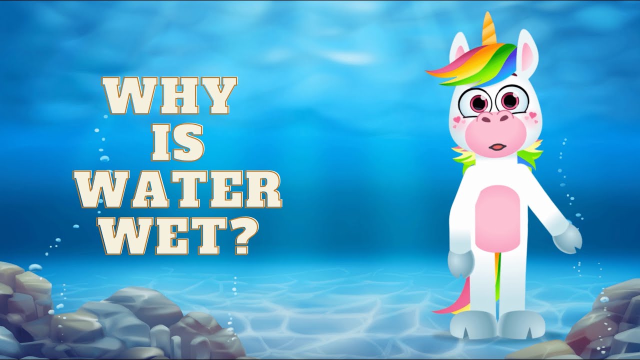 Why Is Water Wet? Explained Through Fun Cartoons for Kids - YouTube