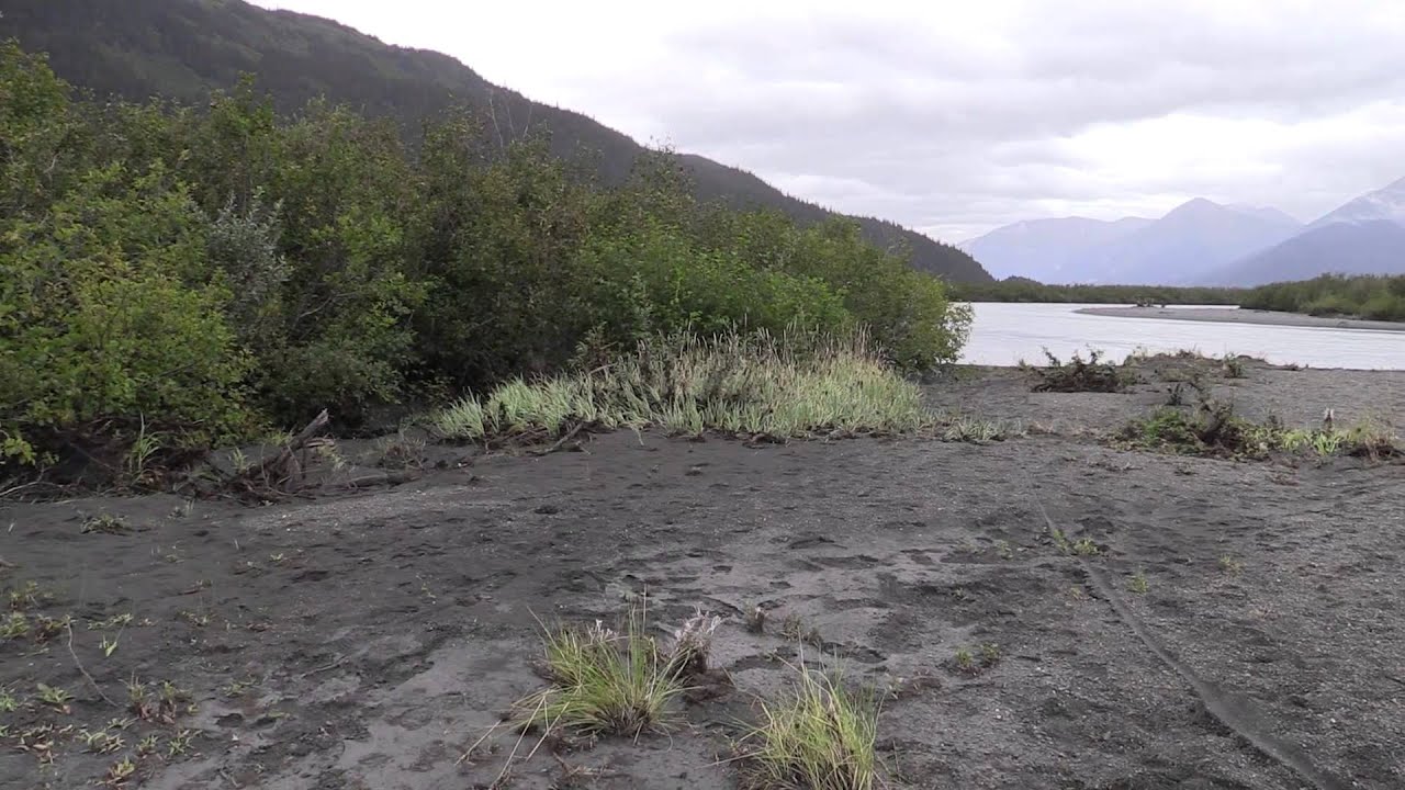 Placer River Canoe Trip - YouTube