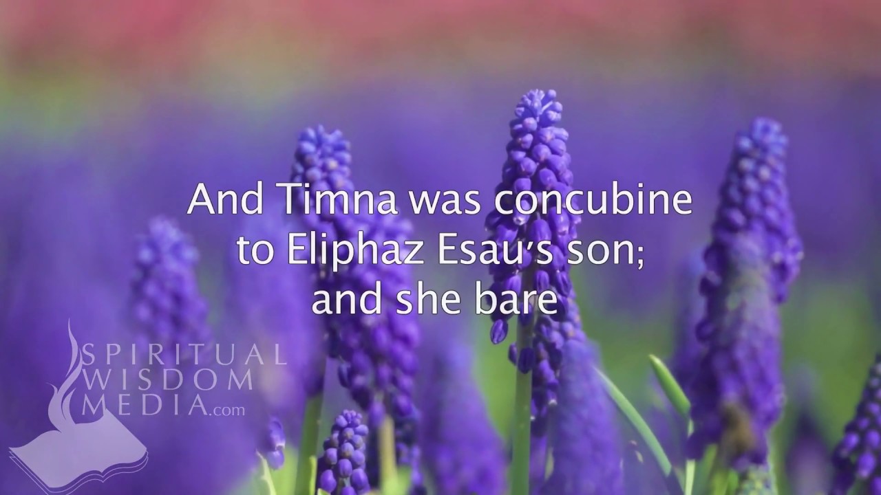 Genesis 36:12 - And Timna was concubine to Eliphaz Esau's son - Bible ...