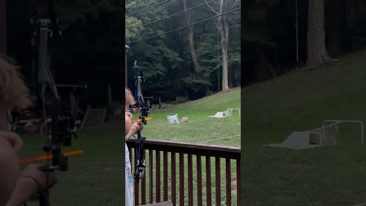 Do you use lighted knocks? #nature #hoytarchery #hunting #wildlife # ...