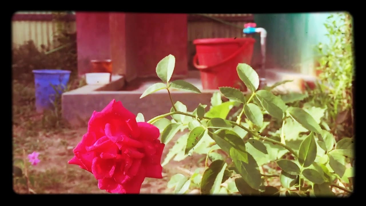 iPhone 6s Plus slow motion video sample - YouTube