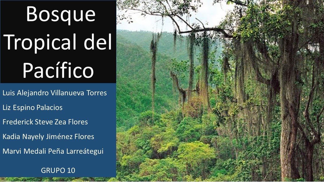 AVANCE PORTAFOLIO1 - FREDERICK STEVE ZEA FLORES - YouTube