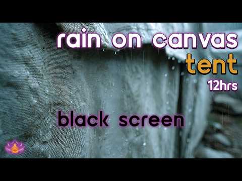 [Black Screen] Cozy Camp Shelter | Rain on Canvas Tent – No Thunder | Sleep Rain Sounds