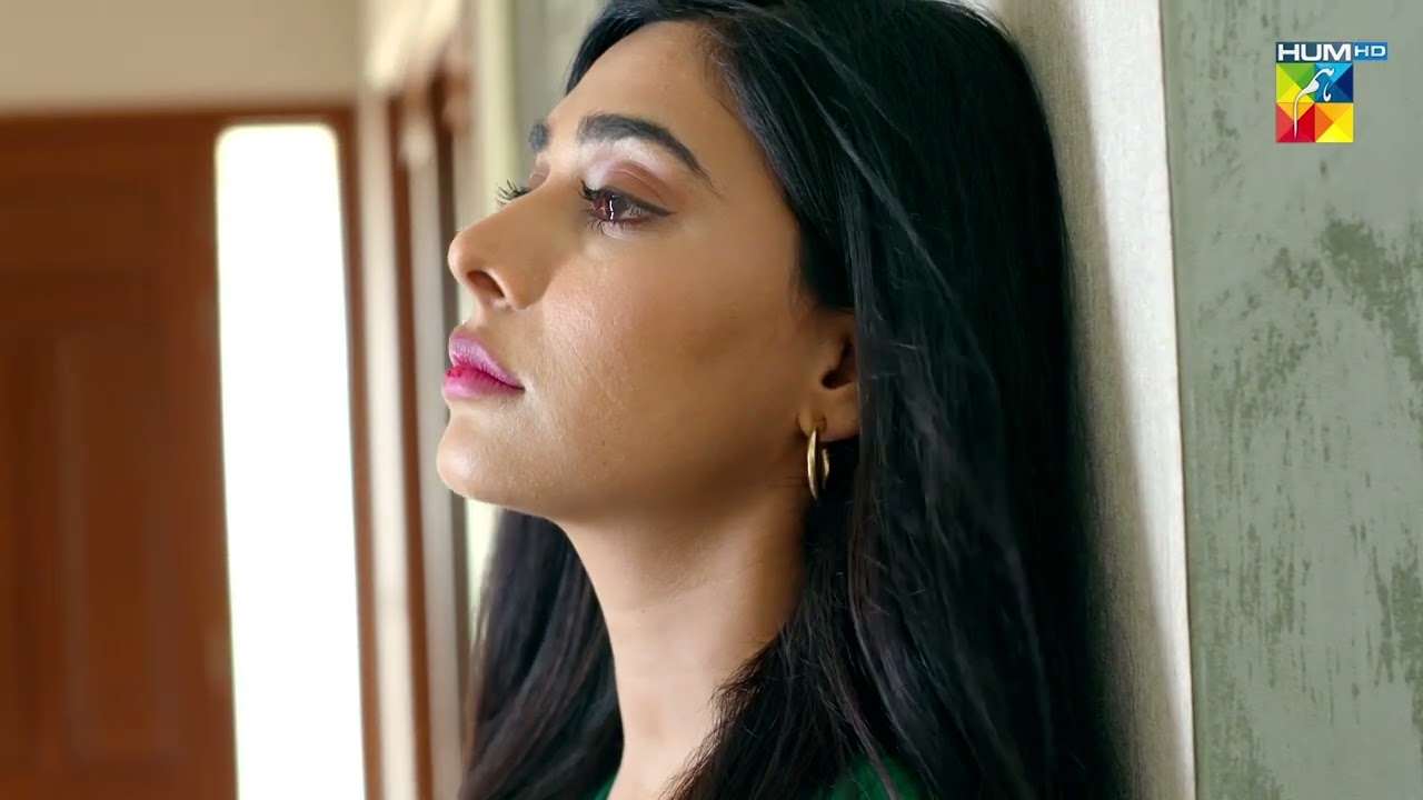 Behan Se Zewar Le Kar Paise Nahi Diye !! Pehchaan - HUM TV - YouTube