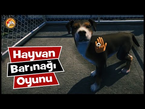 HAYVAN BARINAĞI KURDUK 🐶🐱 Animal Shelter - Türkçe (İlk Bakış)