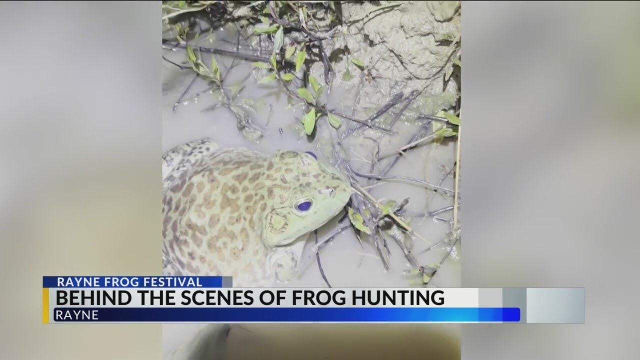 Behind the scenes of frog catching - YouTube