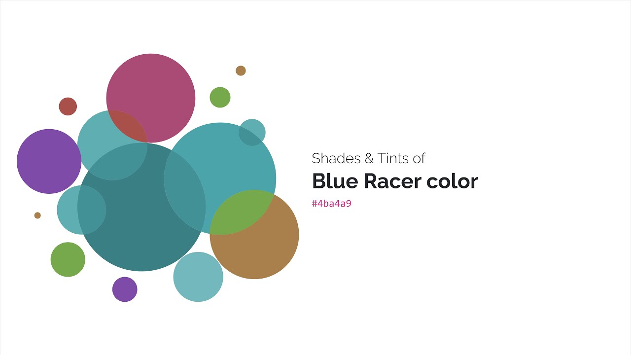 Shades & Tints of Blue Racer color #4ba4a9 A Cool Blue color #429196 ...