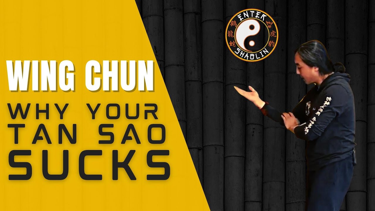 Why Your Wing Chun Tan Sao Is Wrong - YouTube