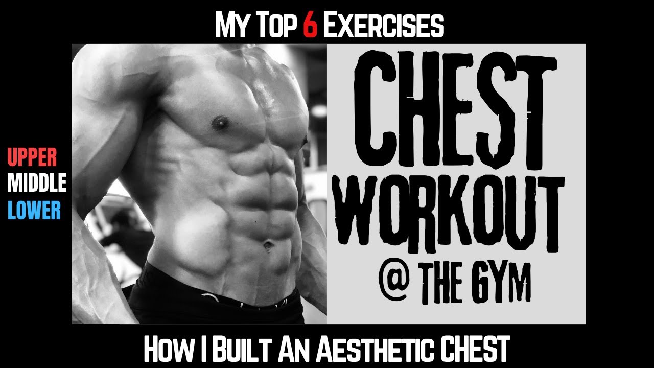 CHEST WORKOUT @ THE GYM | Top 6 Exercises | How I Built An Aesthetic ...